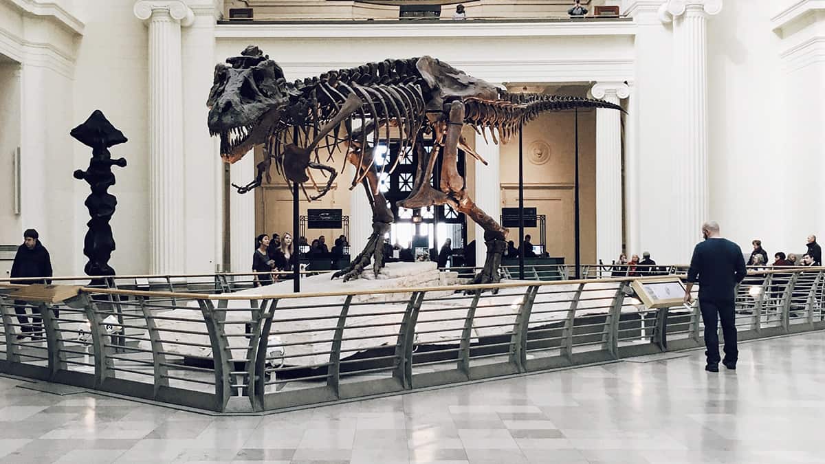 What's The Best Museum Exhibit QR Code System? - 42Kites